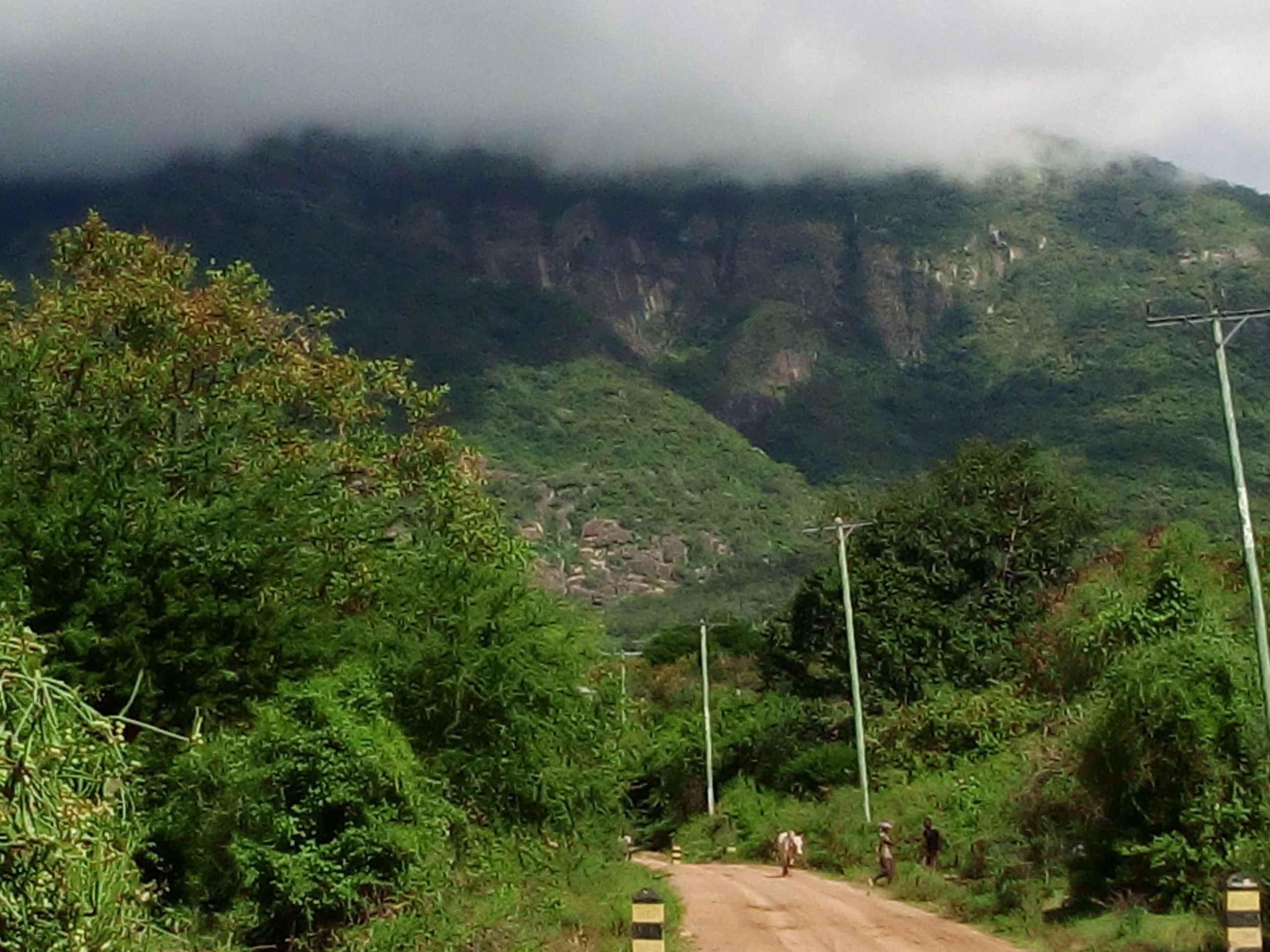 Strengthening management and governance of Mutitu and Mumoni Important ...