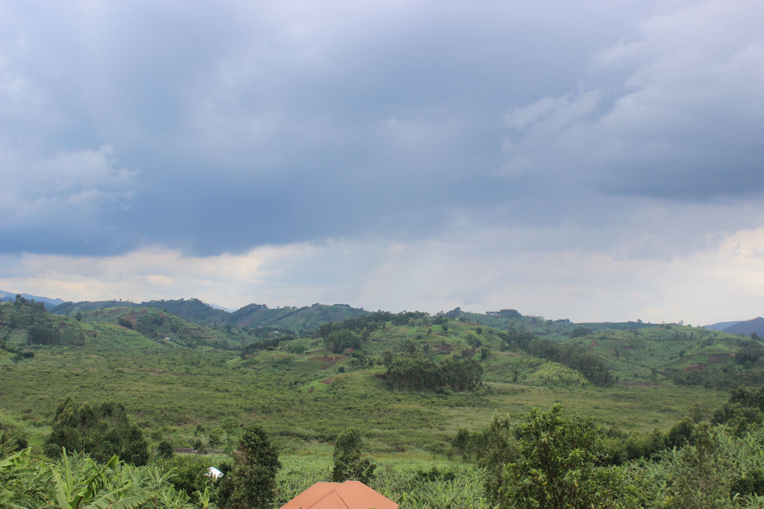 Addressing threats to biodiversity and ecosystems services loss through ...