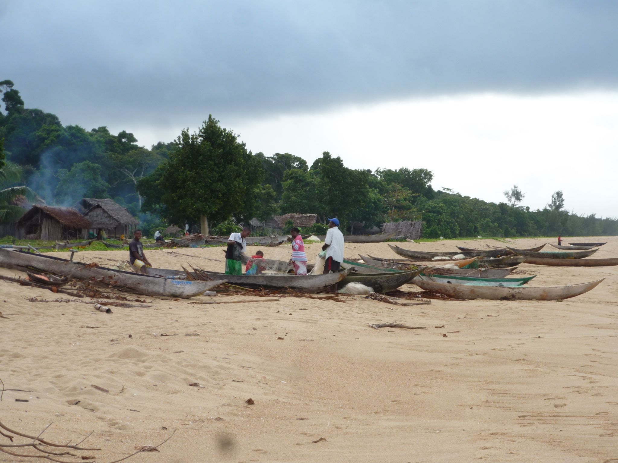 Regions - action biopama